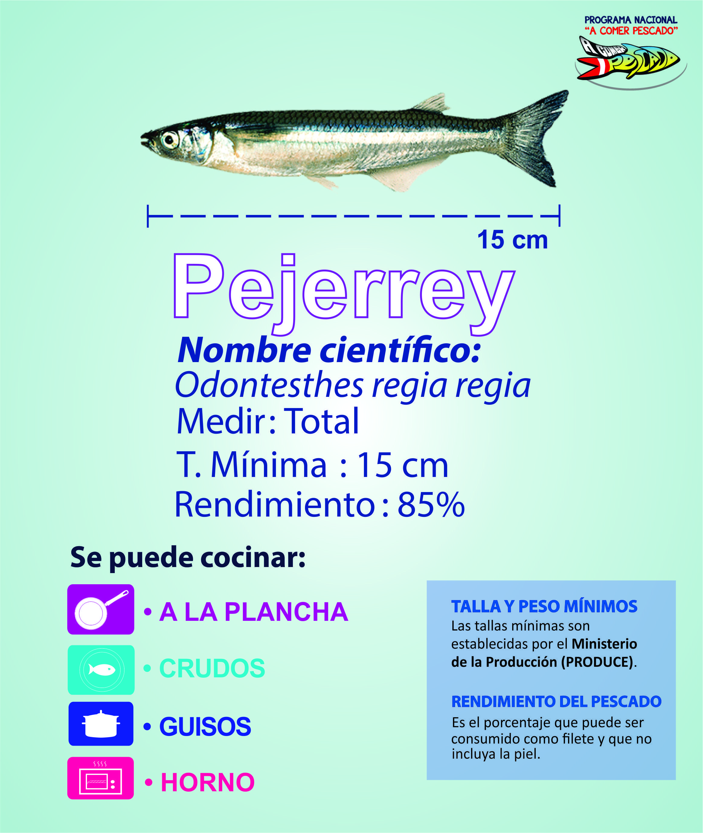 pejerrey 2 – A Comer Pescado